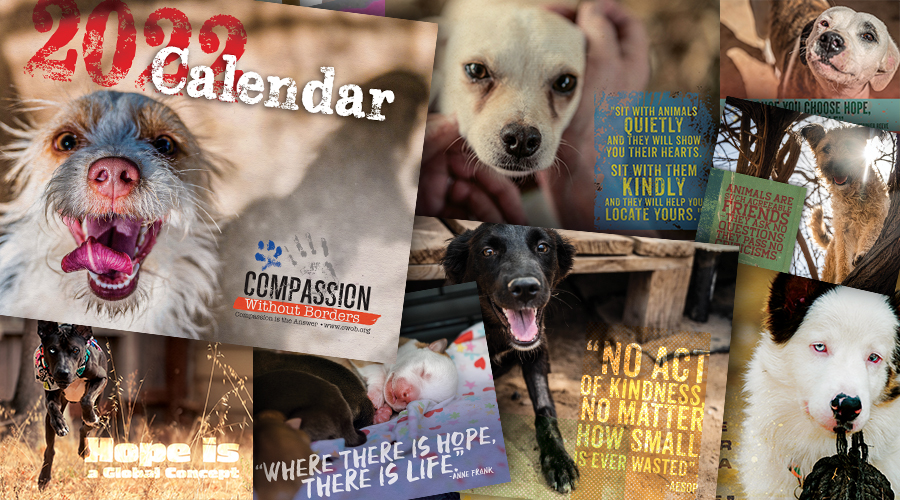 2022 CWOB Calendars
